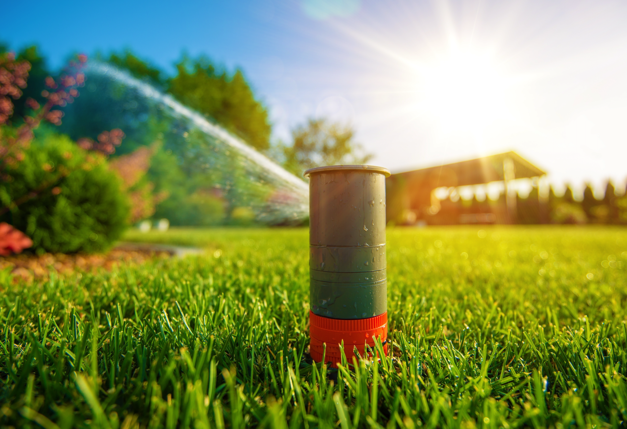 Installing a Lawn Sprinkler System? Pros and Cons | Falco Lawn Sprinklers